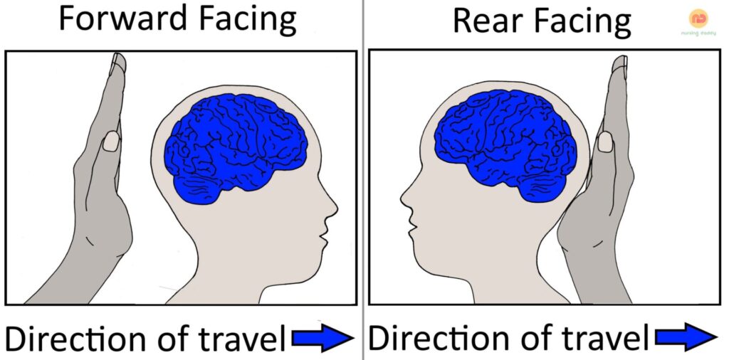 Forward Facing vs Rear Facing Child Restraint Car Seat: All You Need to ...