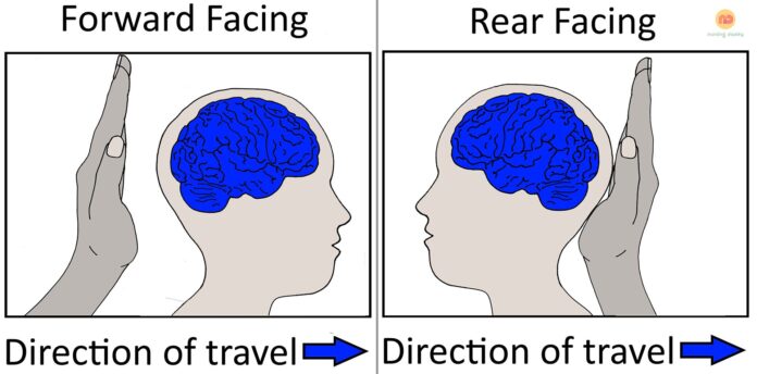 Forward and Rear Facing Child Seat with Head Protection - Nursing Daddy